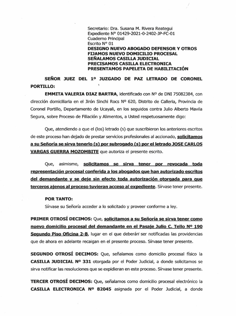 Designo Nuevo Abogado Defensor y Otros | PDF