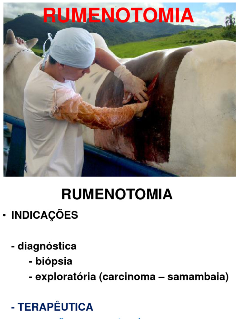 Rumenotomia | PDF