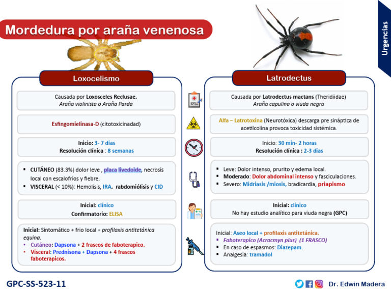 Mordedura Por Araña Venenosa | PDF