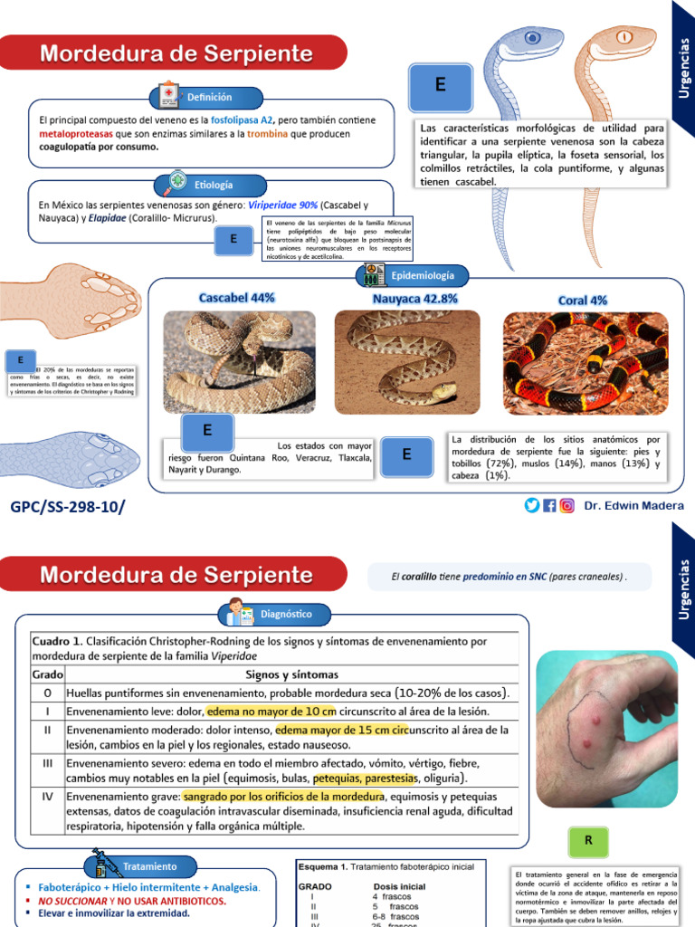 Mordedura de Serpiente | PDF