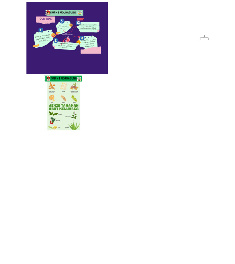 Cara Menanam Dan Jenis Toga | PDF