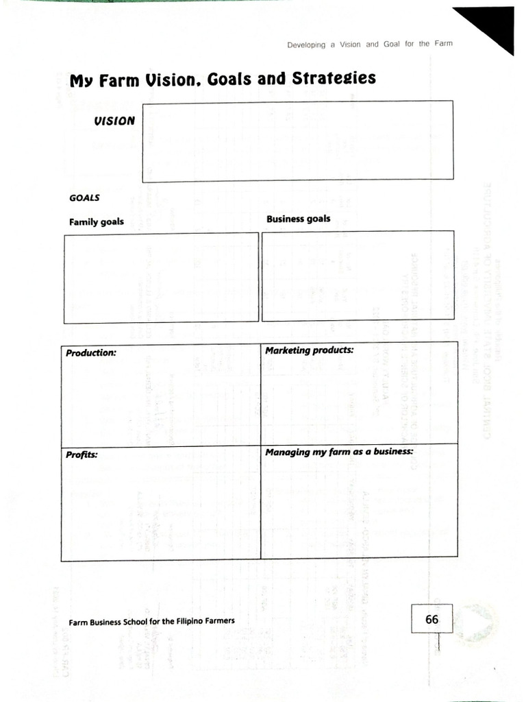 Farm Vision Goals and Strategies | PDF