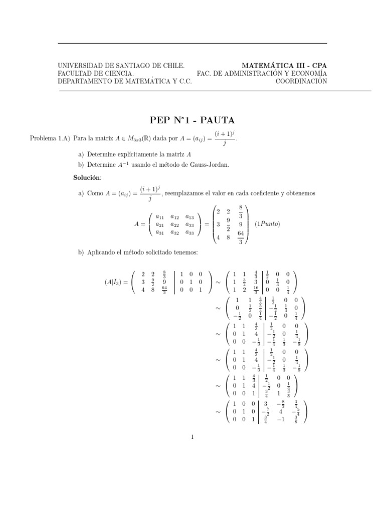 PEP 1-Ultima - PAUTA | PDF | Algoritmos | Funciones y mapeos