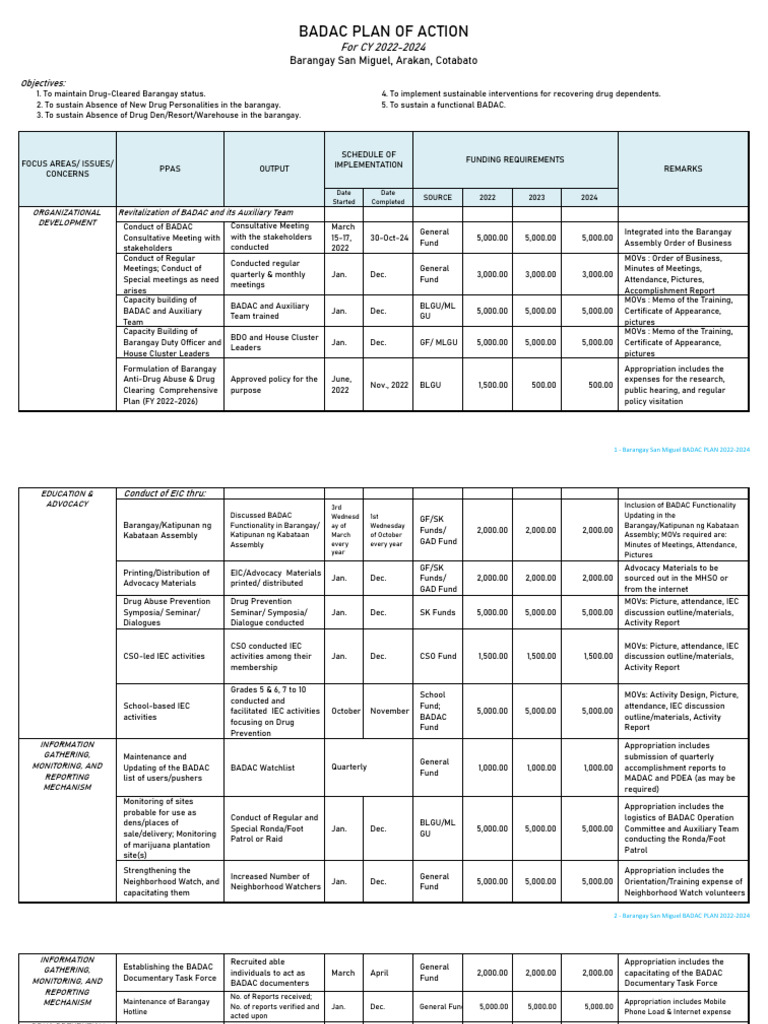 Badac Plan 2022-2024 | PDF