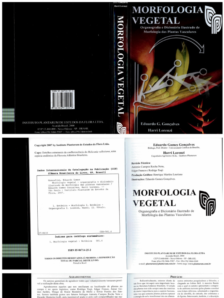Morfologia Vegetal | PDF