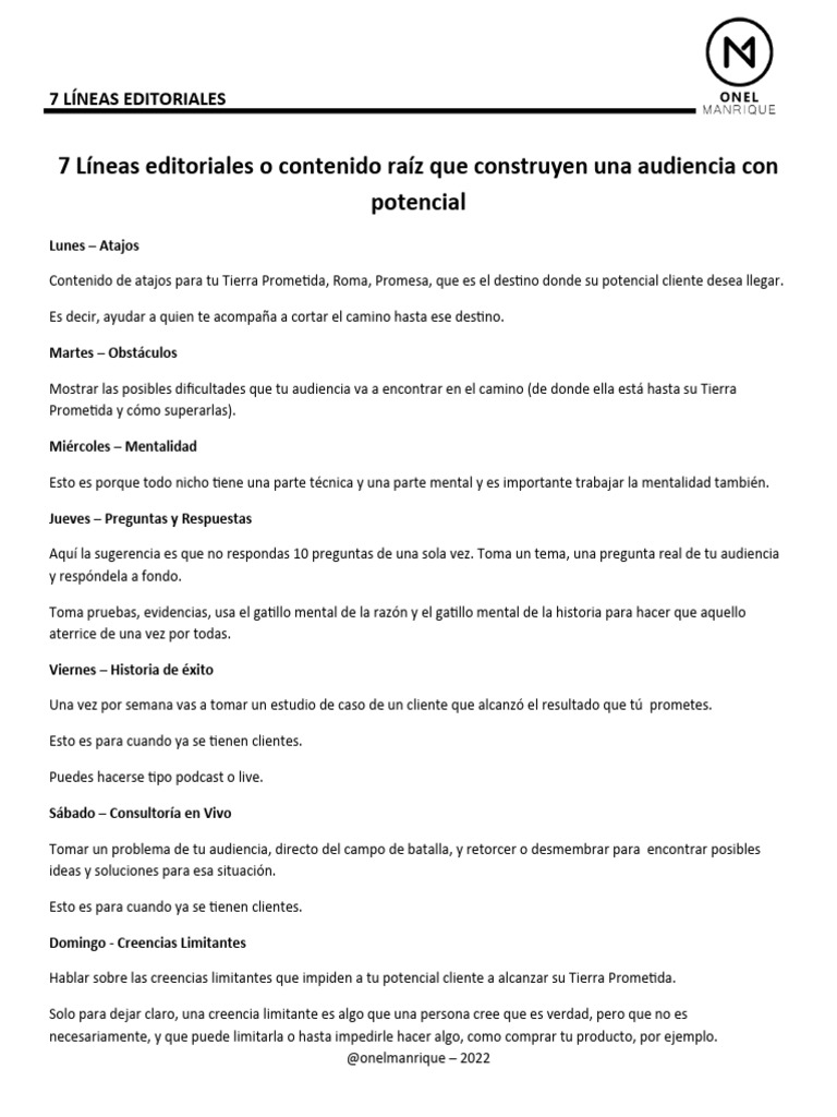 7 Líneas Editoriales o Contenido Raíz Que Construyen Una Audiencia Con Potencial 1 | PDF
