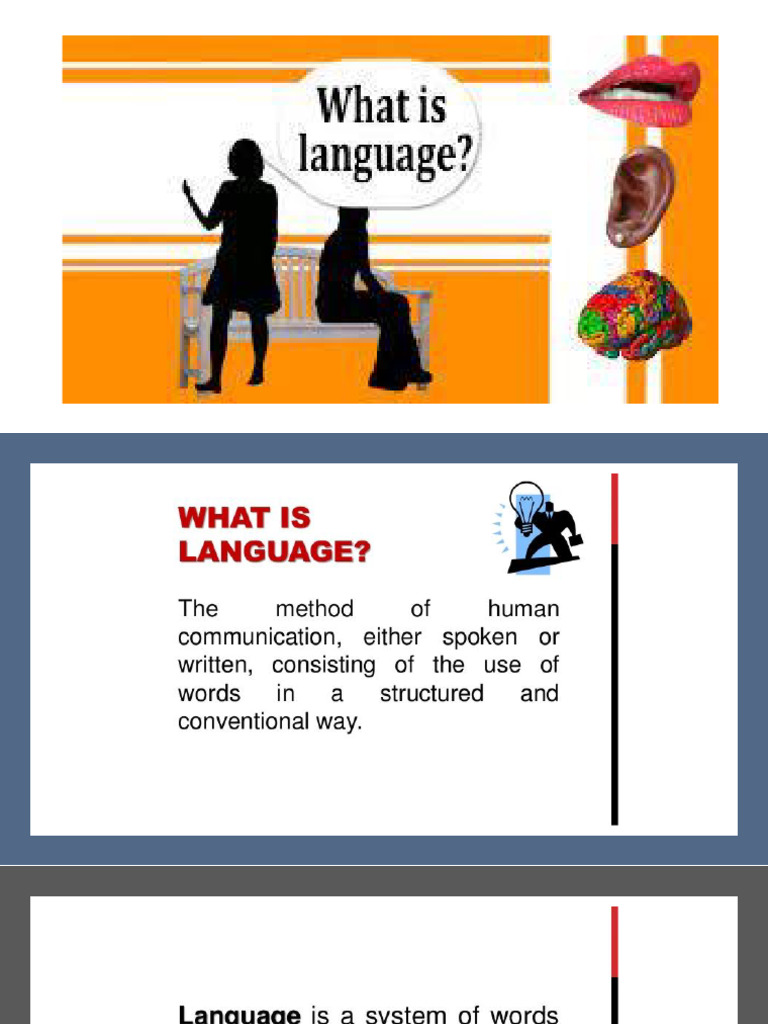 What Is Language Presentation | PDF | Communication | English Language