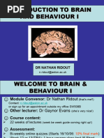 Luria Sequence (Luria's Test) - PsychDB | PDF | Executive Functions ...