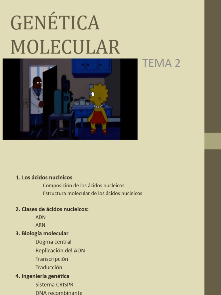 TEMA 2. Las Bases Moleculares de La Herencia | PDF | Rna | Adn