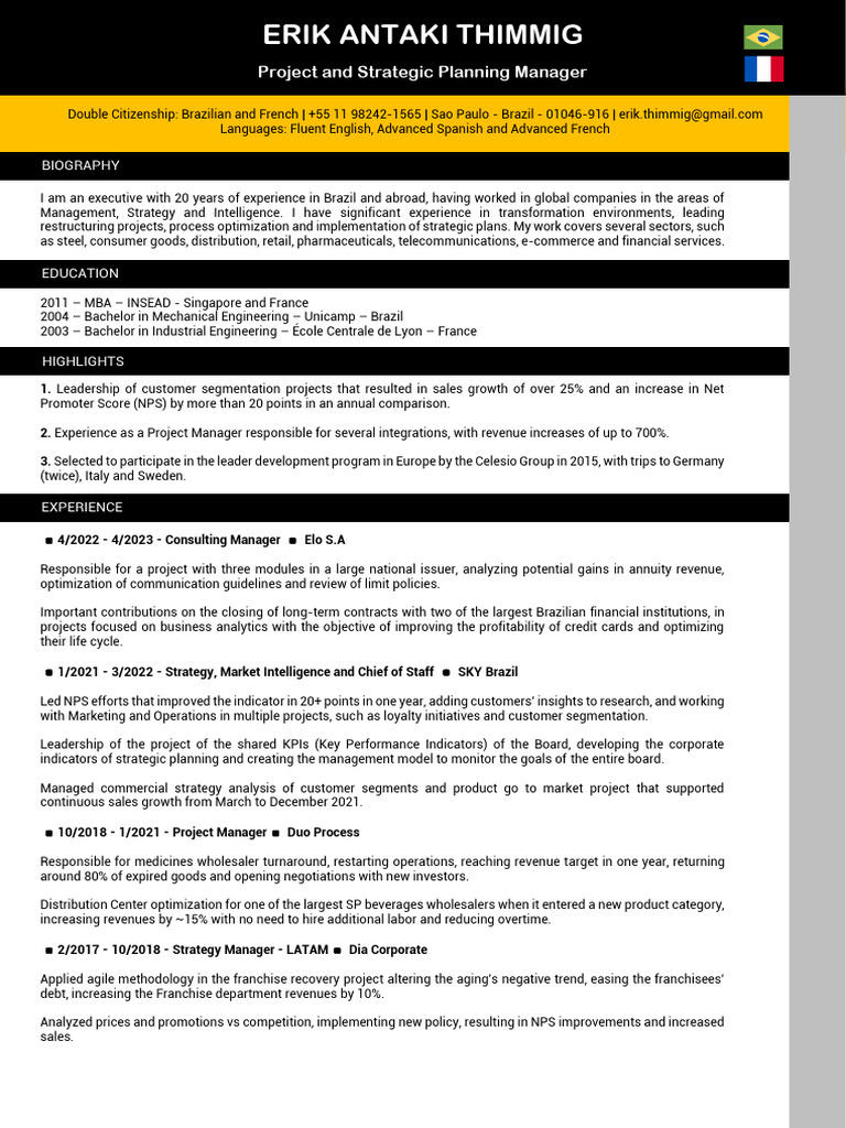 Resume Erik Antaki Thimmig | PDF | Sales | Strategic Planning
