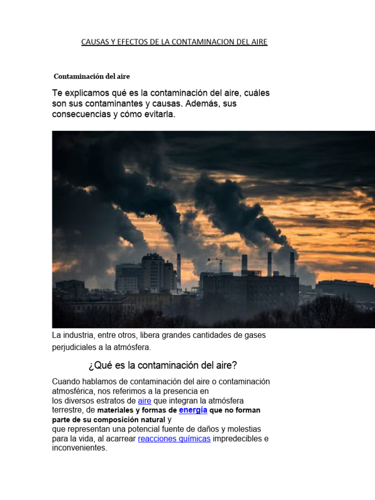 CAUSAS Y EFECTOS DE LA CONTAMINACION DEL AIRE | PDF | Contaminación | La contaminación del aire