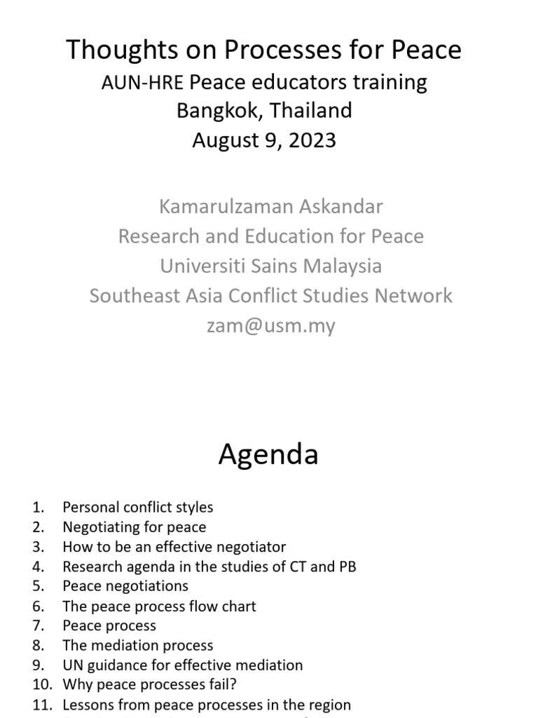 Peace Mediation Process 2023 | PDF | Mediation | Peacebuilding