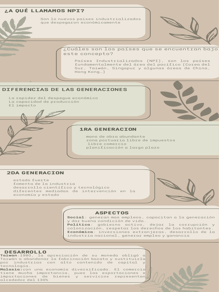 ¿A Qué Llamamos NPI | PDF