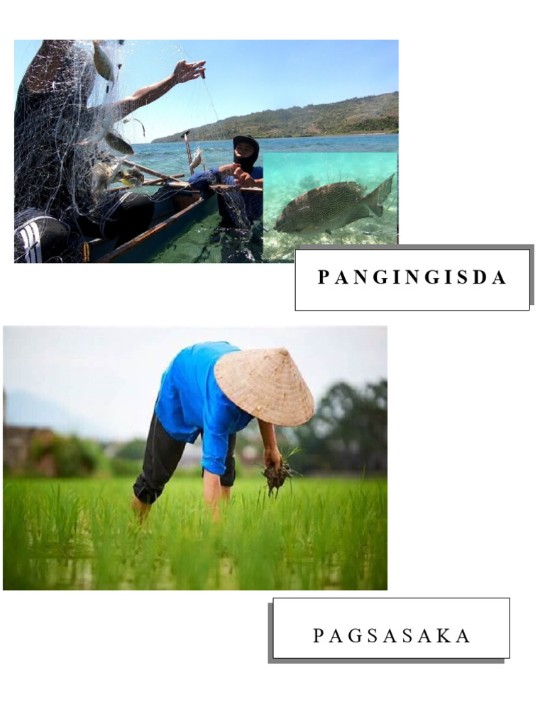 Pangingisda: Pagsasaka | PDF