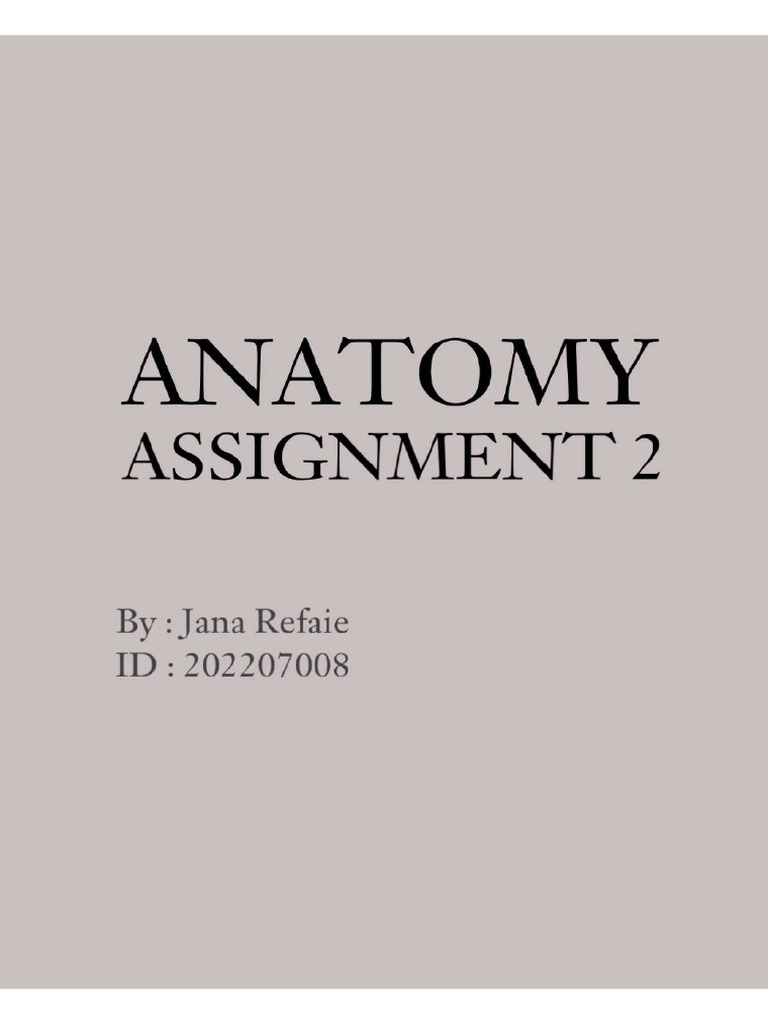 Assignment 2 Anatomy | PDF