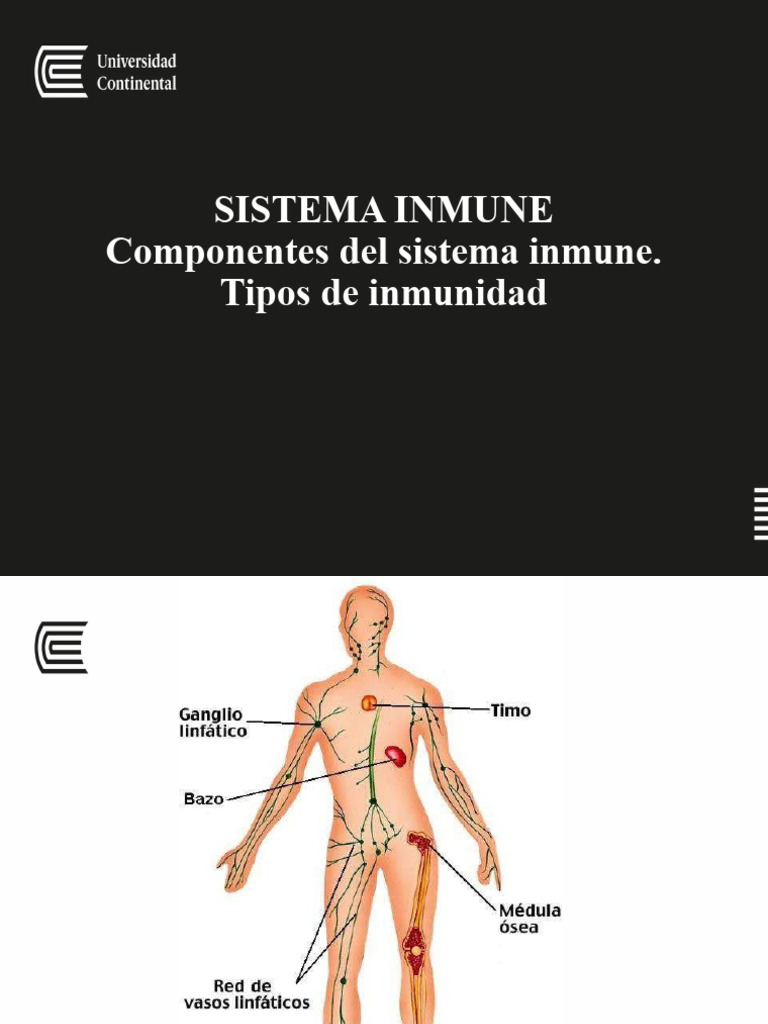 Sistema Inmune | PDF | Linfocitos | Sistema inmune