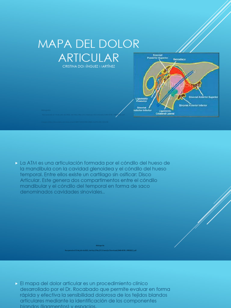 Mapa Del Dolor Articular | PDF | Articulación | Sistema musculoesquelético