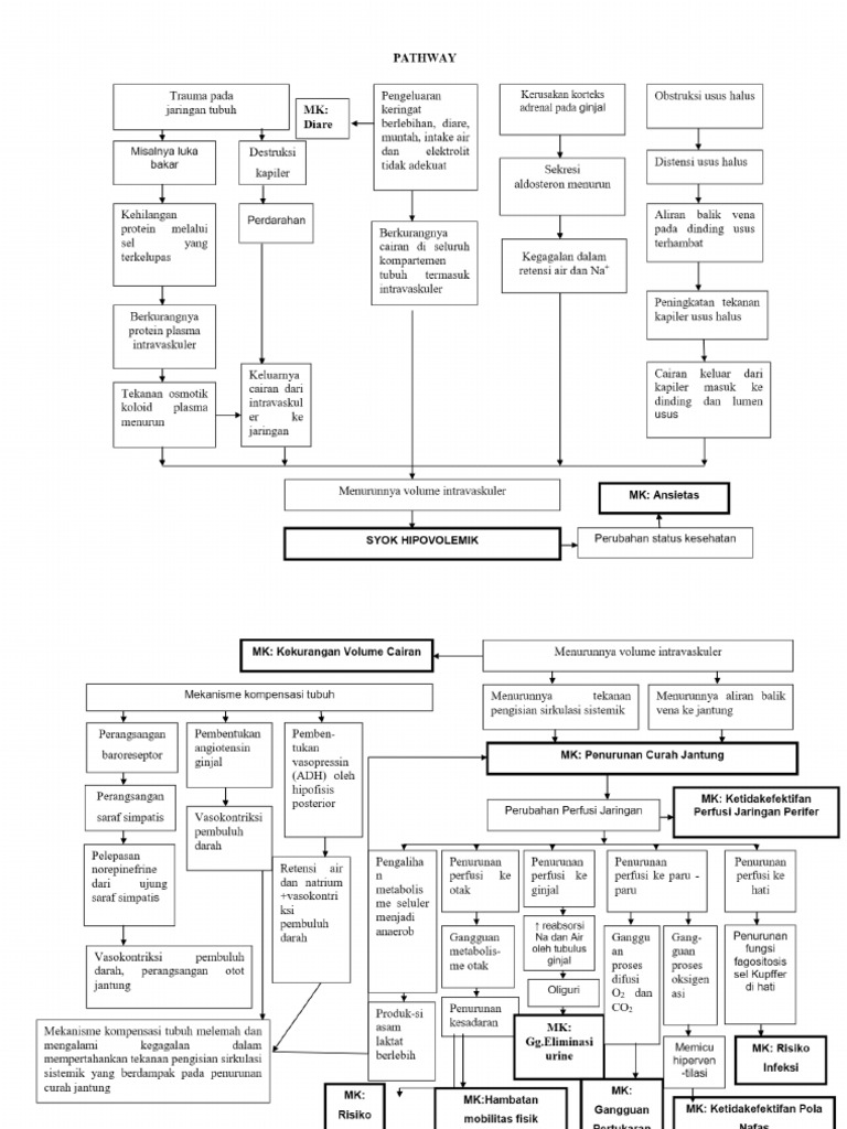 Pathway Syok Hipovolemik | PDF