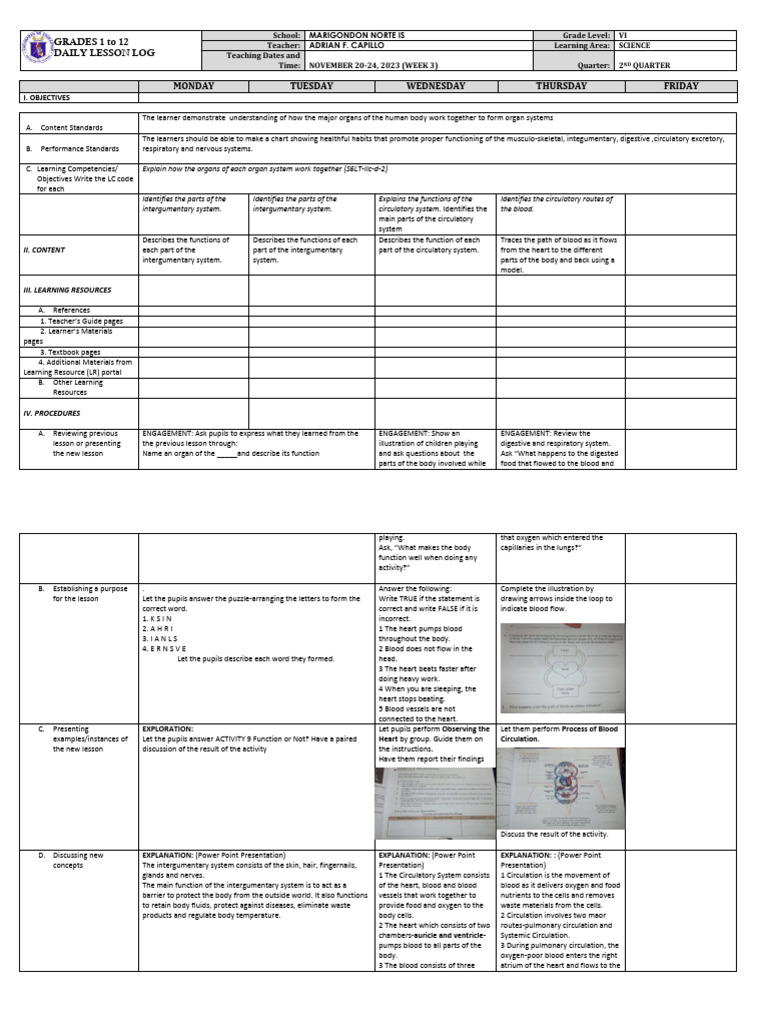 DLL - Science 6 - Q2 - W3 | PDF | Human Body | Blood