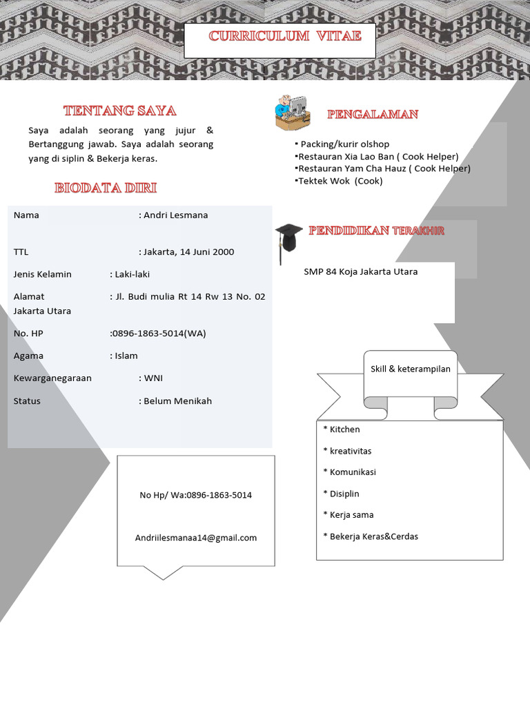CV Andri | PDF
