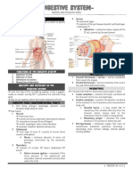 Digestive System Anatomy | PDF | Human Digestive System | Stomach