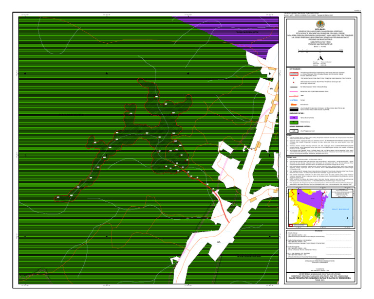 Peta Hasil Survei Hutan Alam Primer | PDF