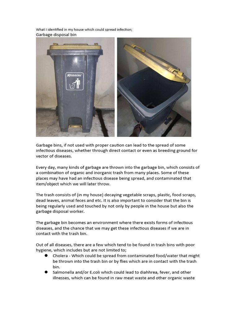 How Infectious Diseases Can Spread Through Garbage | PDF | Infection ...