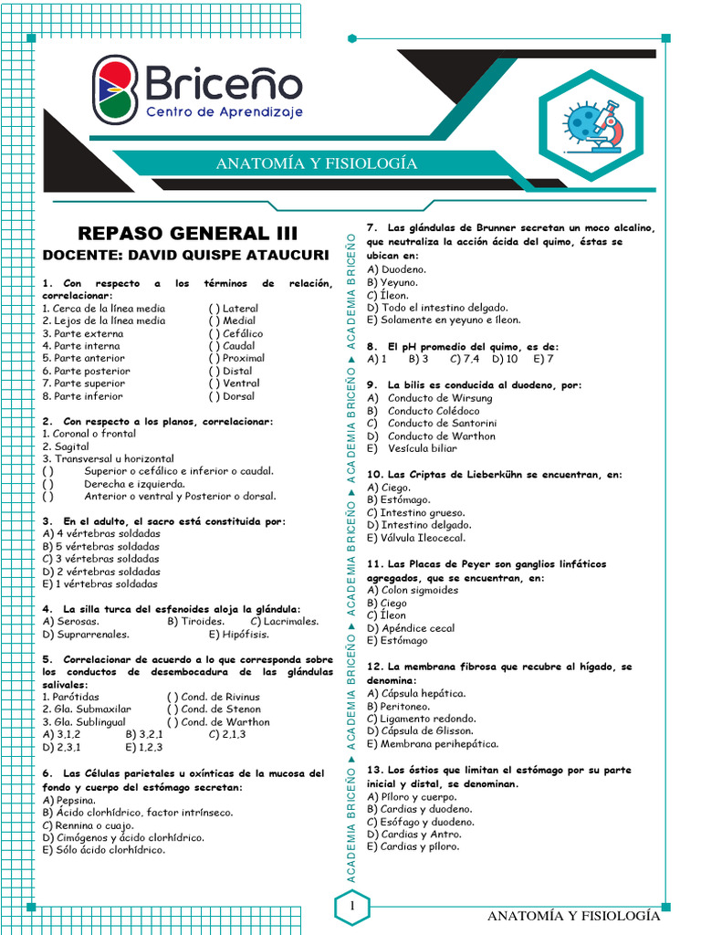 PRÁCTICA REPASO FINAL Ordinario 3 - BRICEÑO | PDF | Riñón | Anatomia animal
