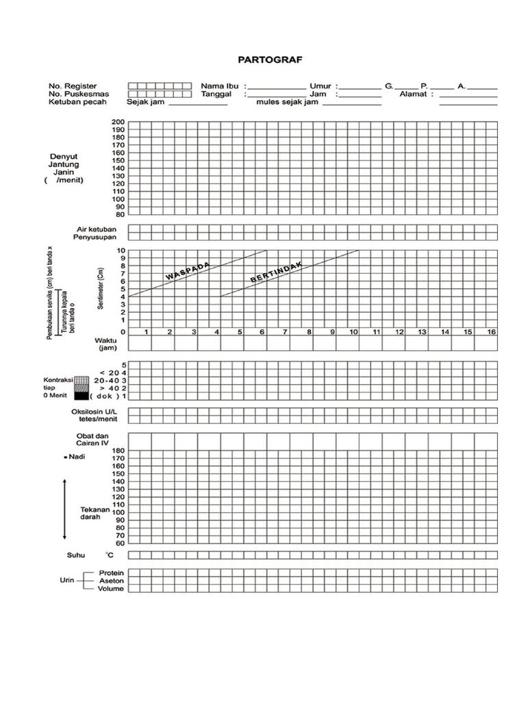 Partograf | PDF