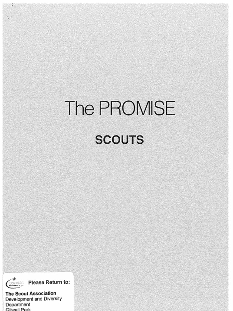 Scout Promise in Makaton | PDF