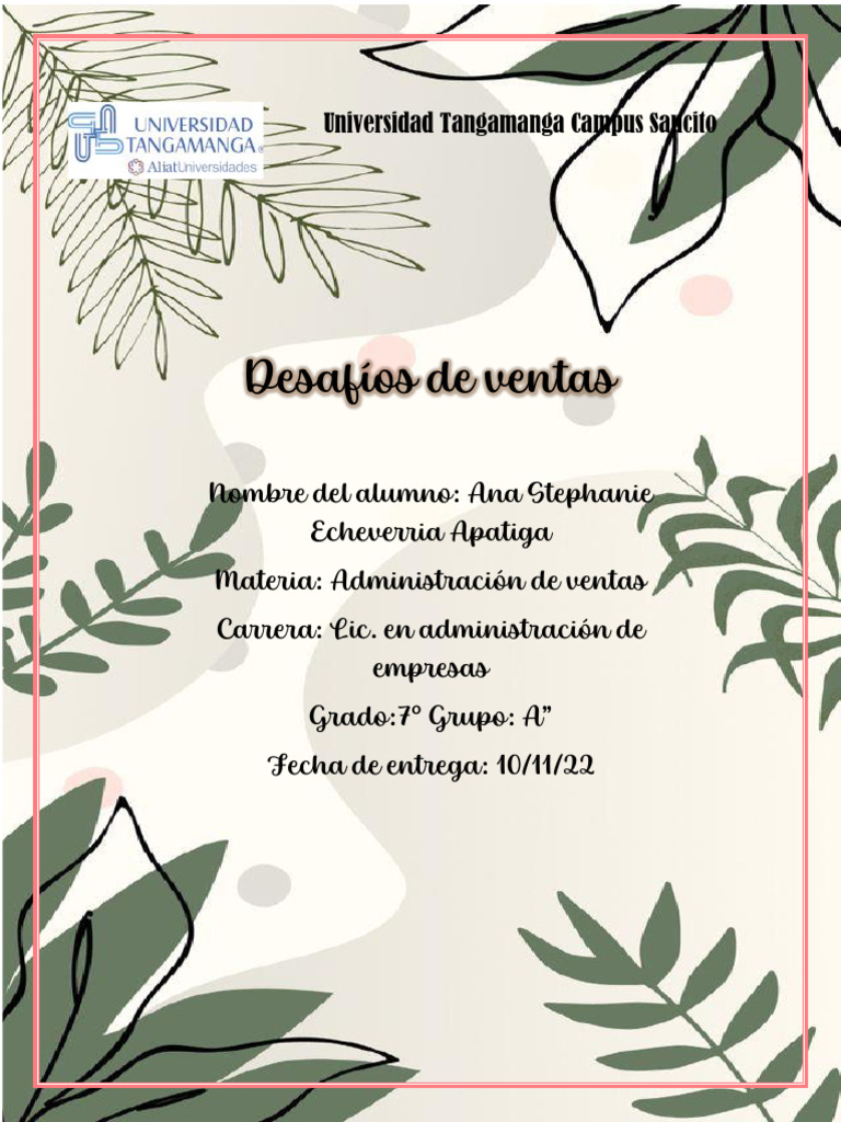 Ana Echeverria 7°a Desafio de Ventas | PDF | Presupuesto | Business