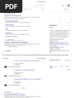 Create Double Exposure in Photopea | PDF