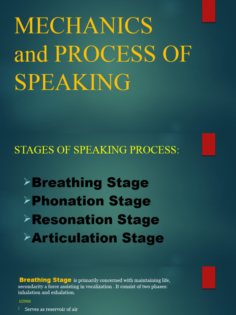 MECHANICS and PROCESS OF SPEAKING | PDF
