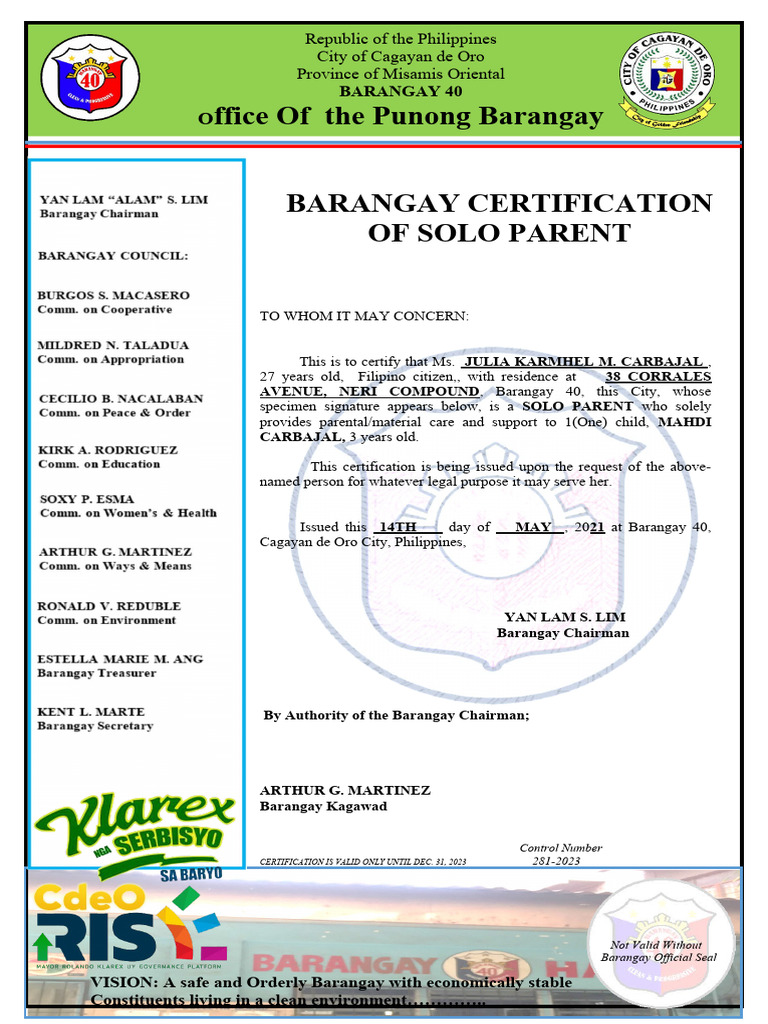 Solo Parent Certification Cagayan de Oro | PDF