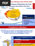 Normes Comptables SYSCOHADA | PDF