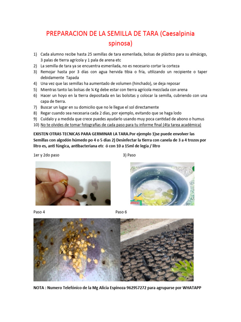 Preparacion de La Semilla de Tara | PDF