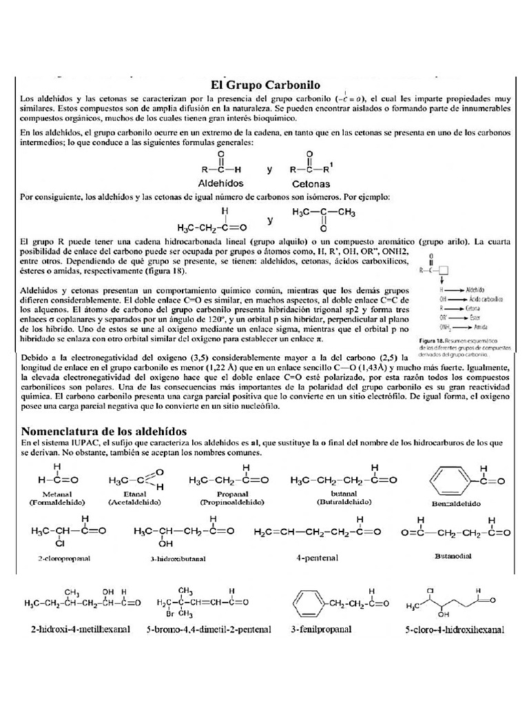 FT Grupo Carbonilo - Aldehidos | PDF