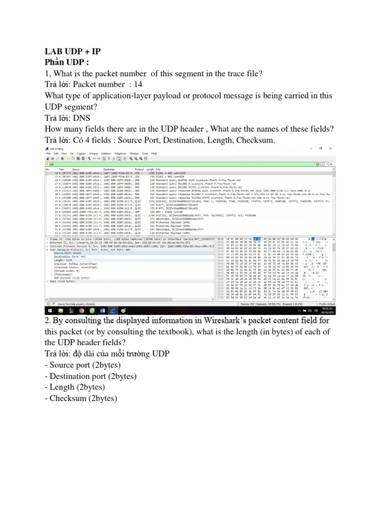 Lab 4 Udp + Lab 5 Ip | PDF | Internet Protocols | Network Packet