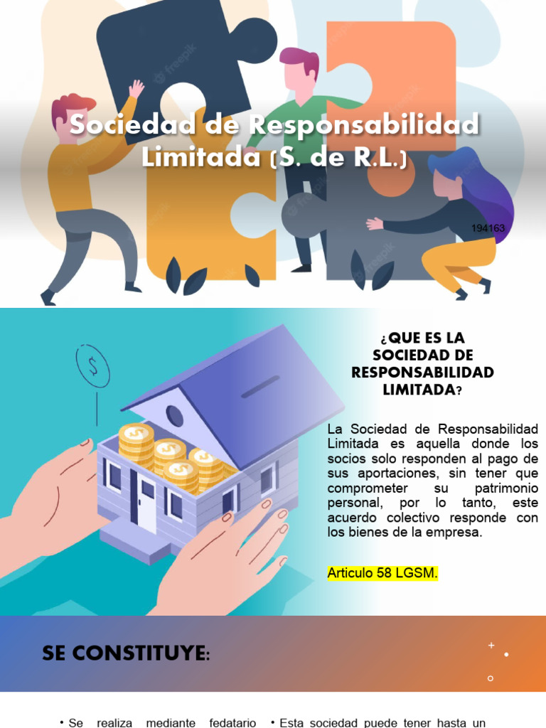 Sociedad de Responsabilidad Limitada | PDF | Business | Economias