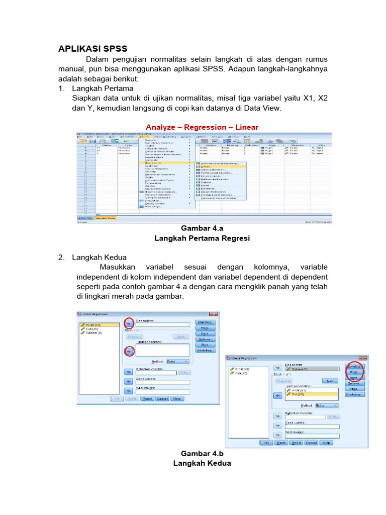 Uji Normalitas-Spss | PDF