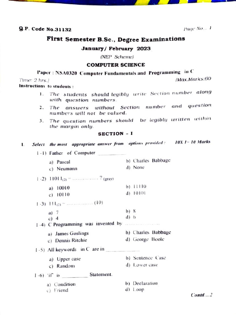 1 Sem Bsc Pdf Pointer Computer Programming Computer Programming