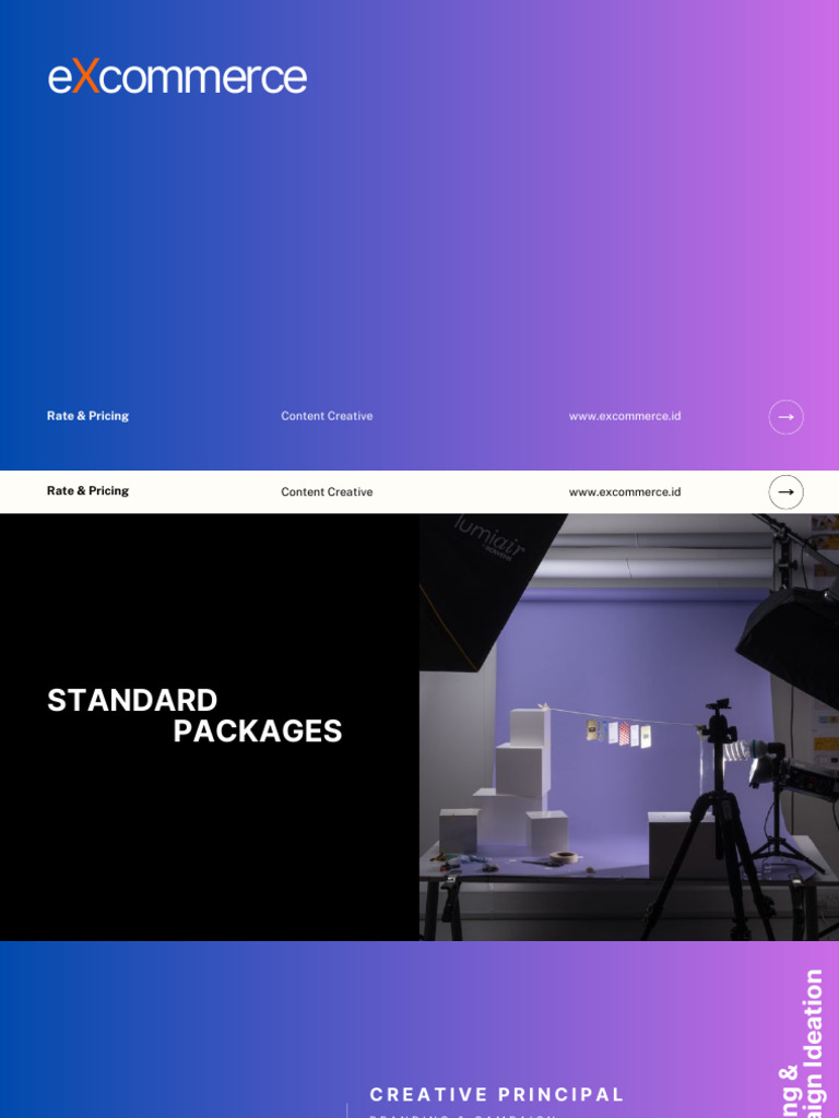 Mega Campaign Breakdown | PDF | Mass Media