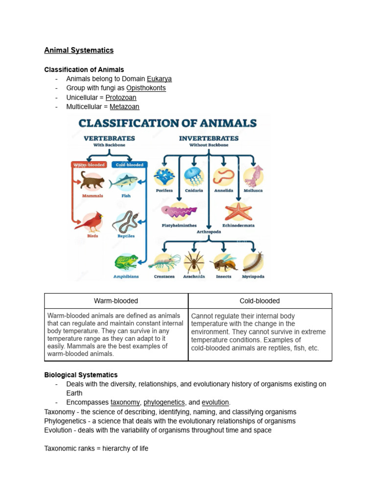 Animal Systematics | PDF | Taxonomy (Biology) | Evolutionary Biology