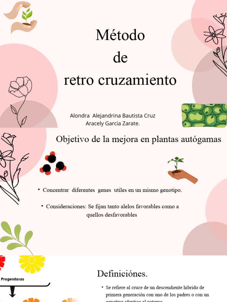 Metodo de Retrocruzamiento | PDF | Dominancia (Genética) | Cigosidad