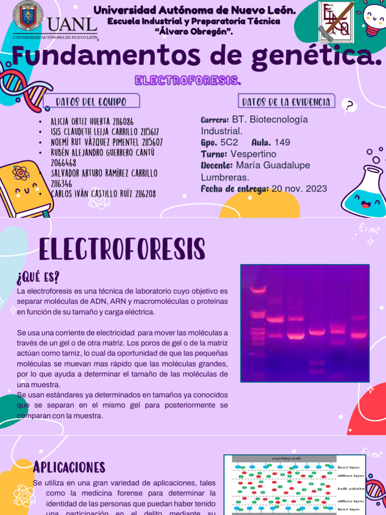 Helicobacter Pia FG | PDF | Adn | Electroforesis