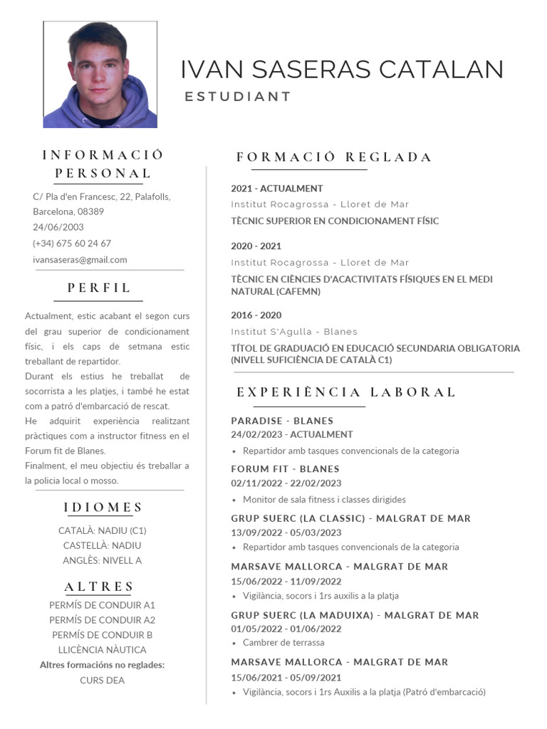 Currículum Ivan | PDF