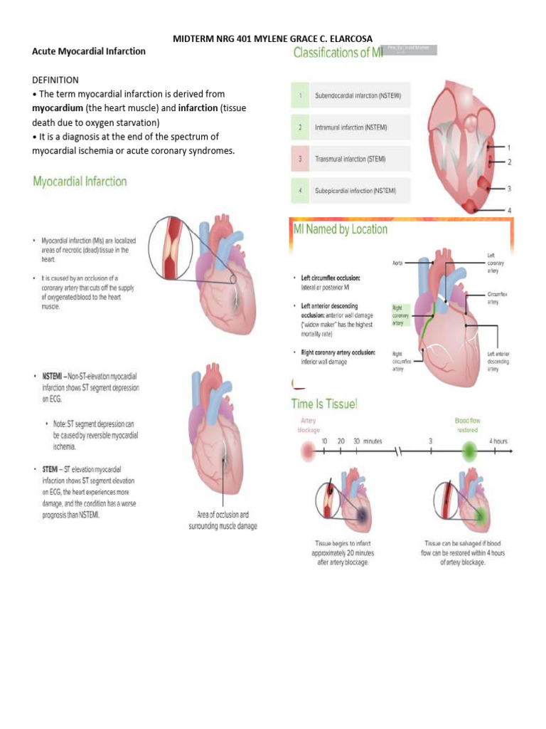Respiratory System | PDF | Myocardial Infarction | Heart