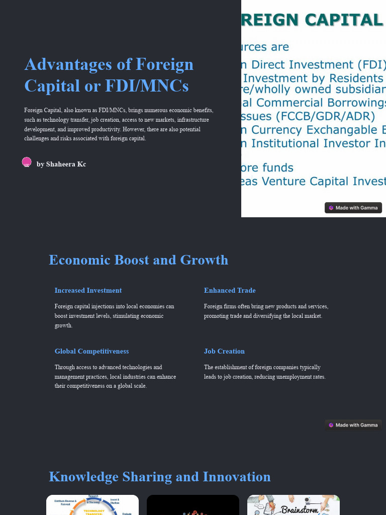 Benefits and Risks of Foreign Capital | PDF | Infrastructure ...