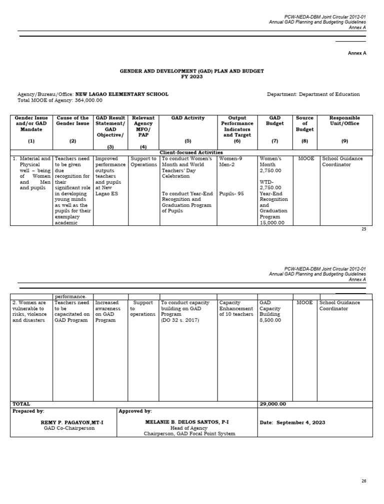 GAD Plan and Budget Template | PDF