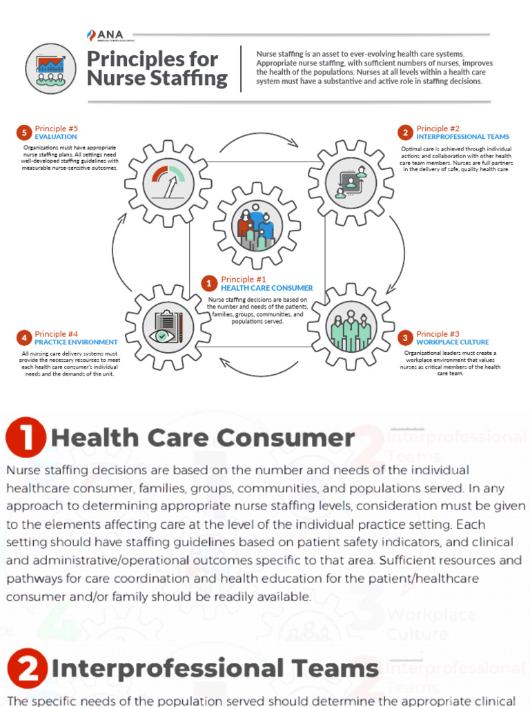 ANA Principles of Staffing | PDF | Nursing | Health Care